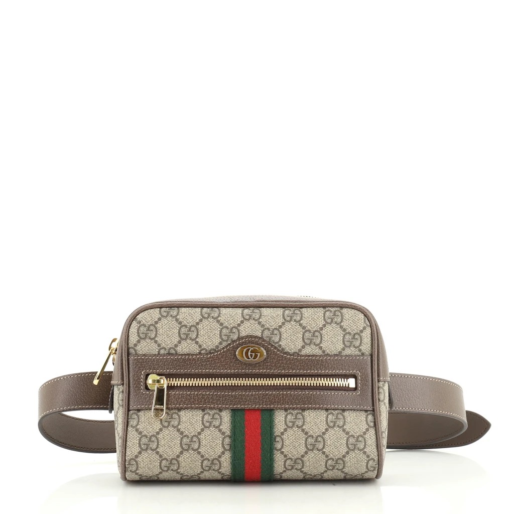 Gucci 101: The Ophidia Collection - The Vault
